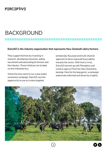 Insights Pave the Way to Media ROI Success | DairyNZ