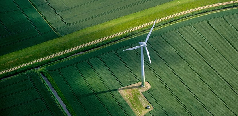 The influence of sustainability on New Zealand consumers