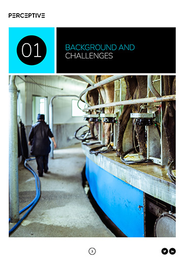 Insights Pave the Way to Media ROI Success | DairyNZ